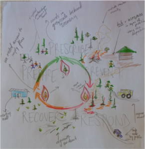 Evolution of the FAC Cycle Graphic - Washington Fire Adapted ...