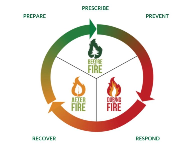 Evolution of the FAC Cycle Graphic - Washington Fire Adapted ...