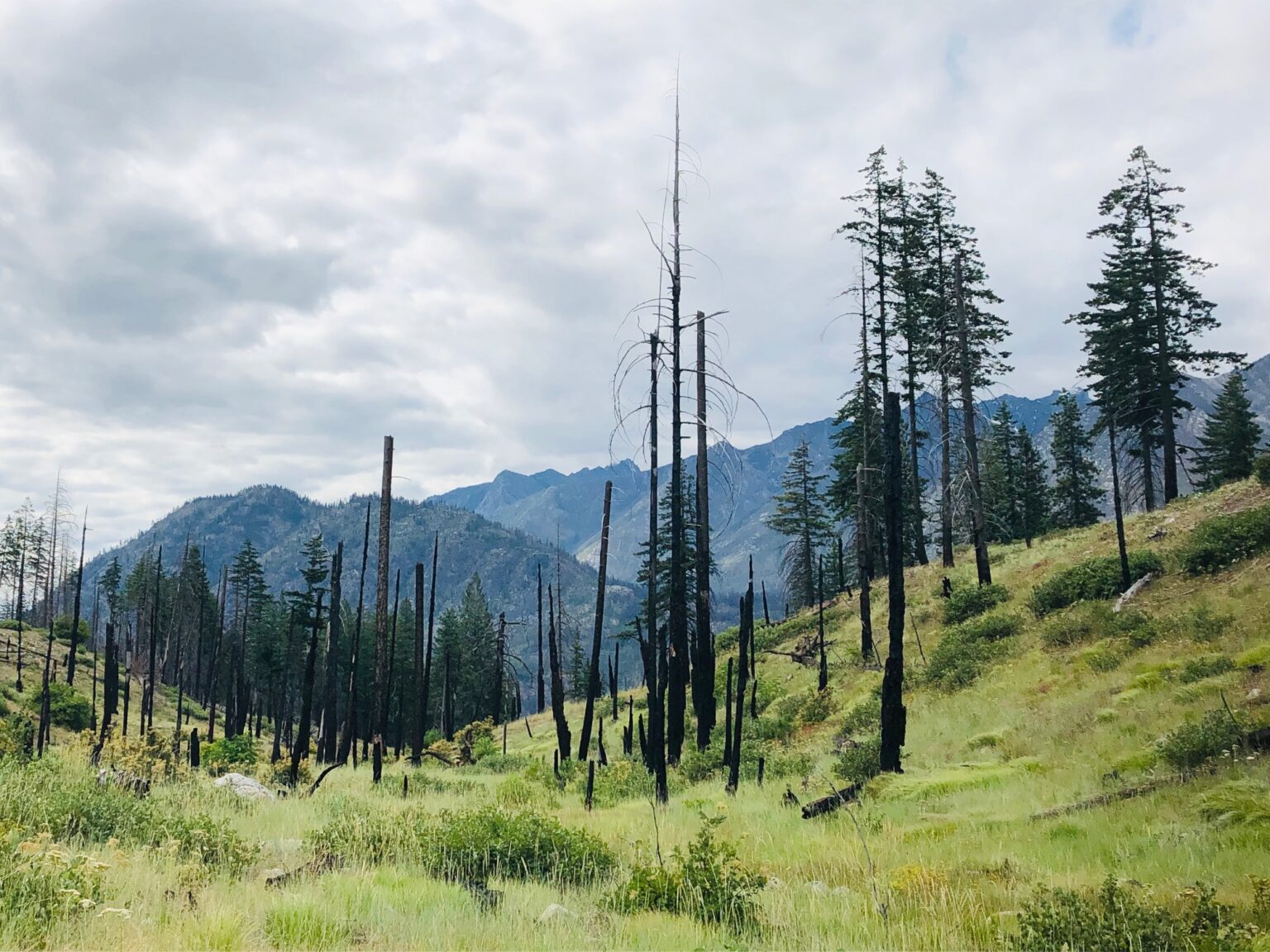 Resources and Facilitation Toolkits - Washington Fire Adapted ...