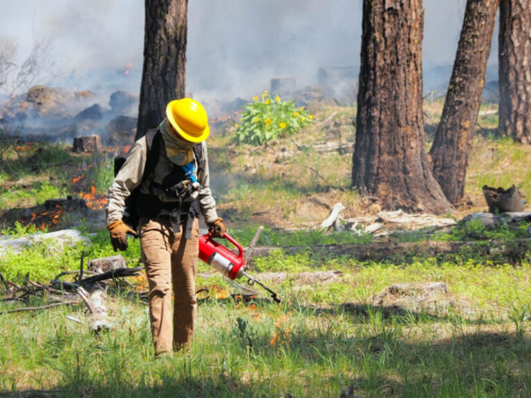 Resources and Facilitation Toolkits - Washington Fire Adapted ...