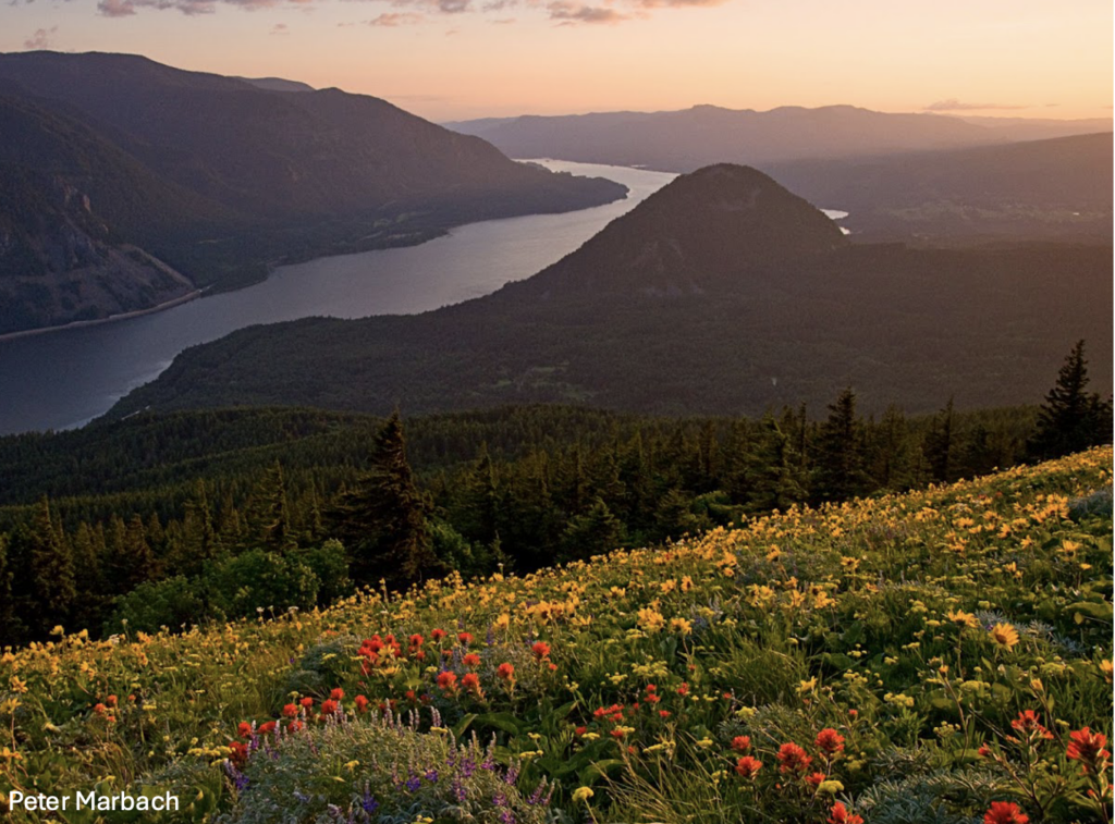 Member Spotlight: the Columbia River Gorge Commission - Washington Fire ...