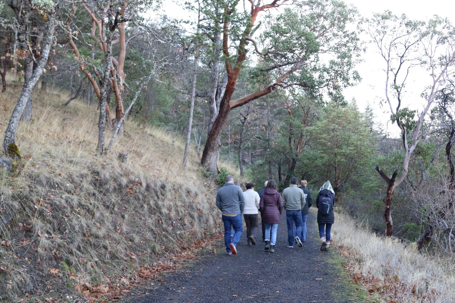 COMMUNITY WILDFIRE PROTECTION PLANS – Washington Fire Adapted ...