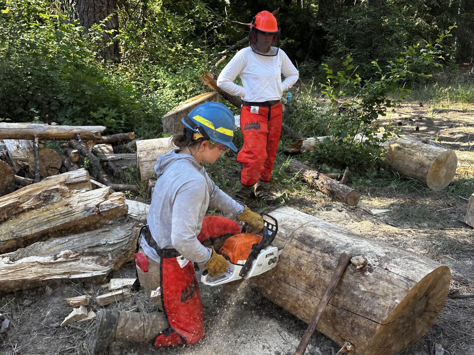 COMMUNITY WILDFIRE PROTECTION PLANS - Washington Fire Adapted ...