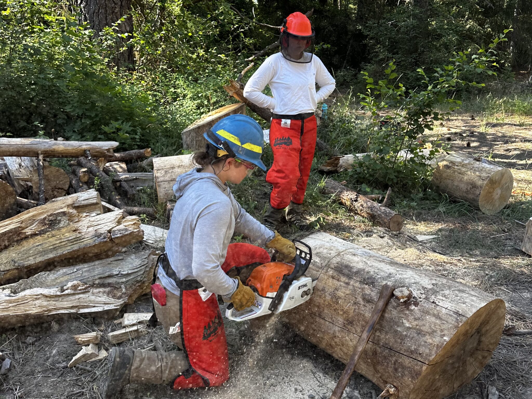 COMMUNITY WILDFIRE PROTECTION PLANS - Washington Fire Adapted ...