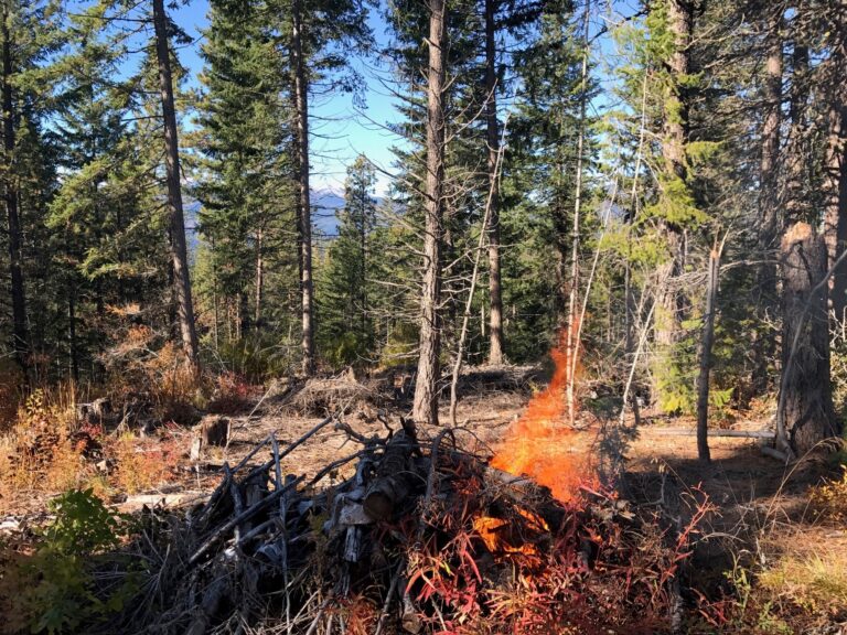 COMMUNITY WILDFIRE PROTECTION PLANS - Washington Fire Adapted ...
